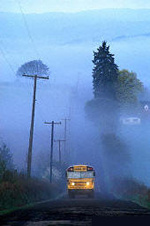 Traffic School & Defensive Driving - Driving University